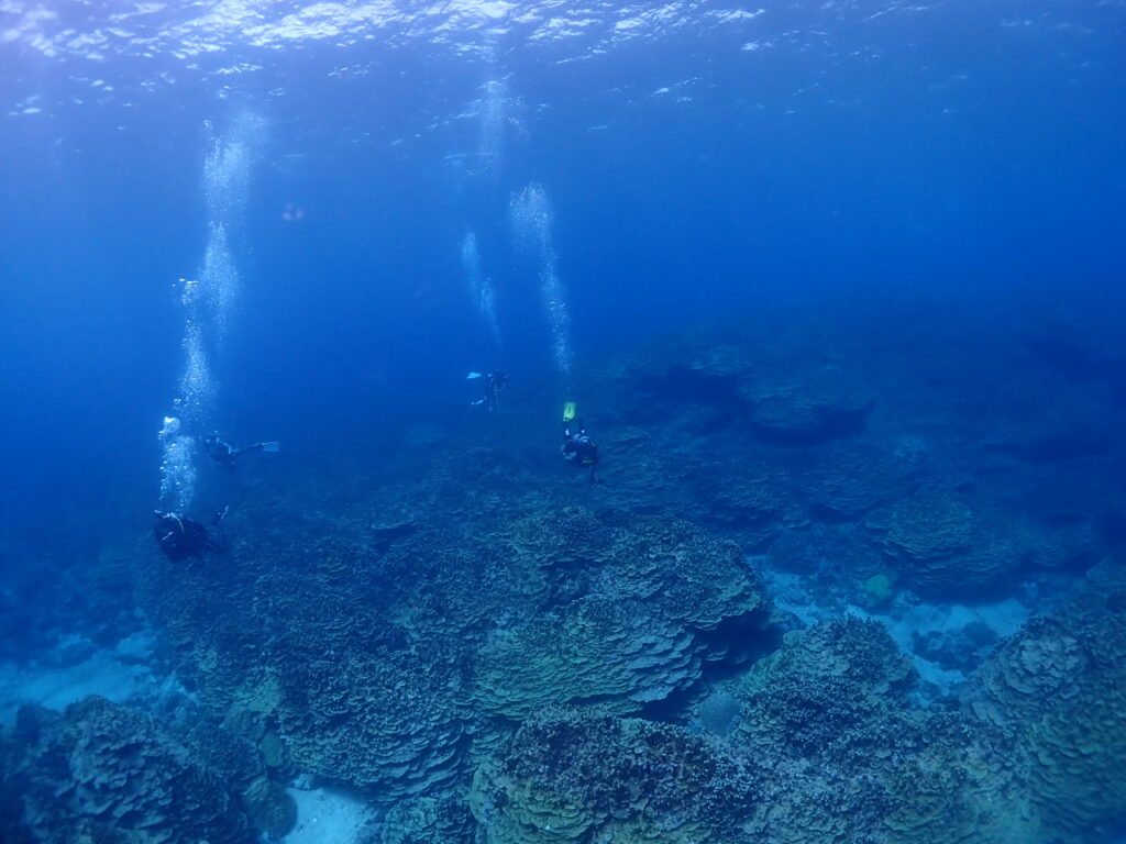 Ice cream and Oleai | DIVING SHOP AQUA GATE SAIPAN