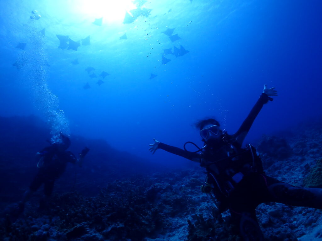 AOW講習！！ | DIVING SHOP AQUA GATE SAIPAN