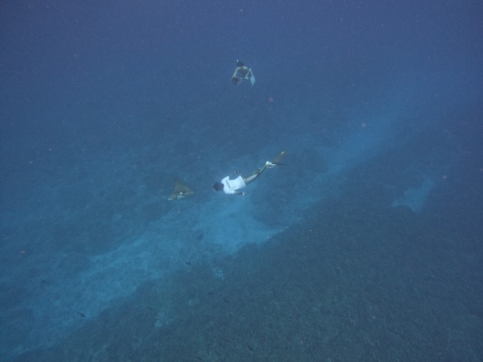Skin diving | DIVING SHOP AQUA GATE SAIPAN