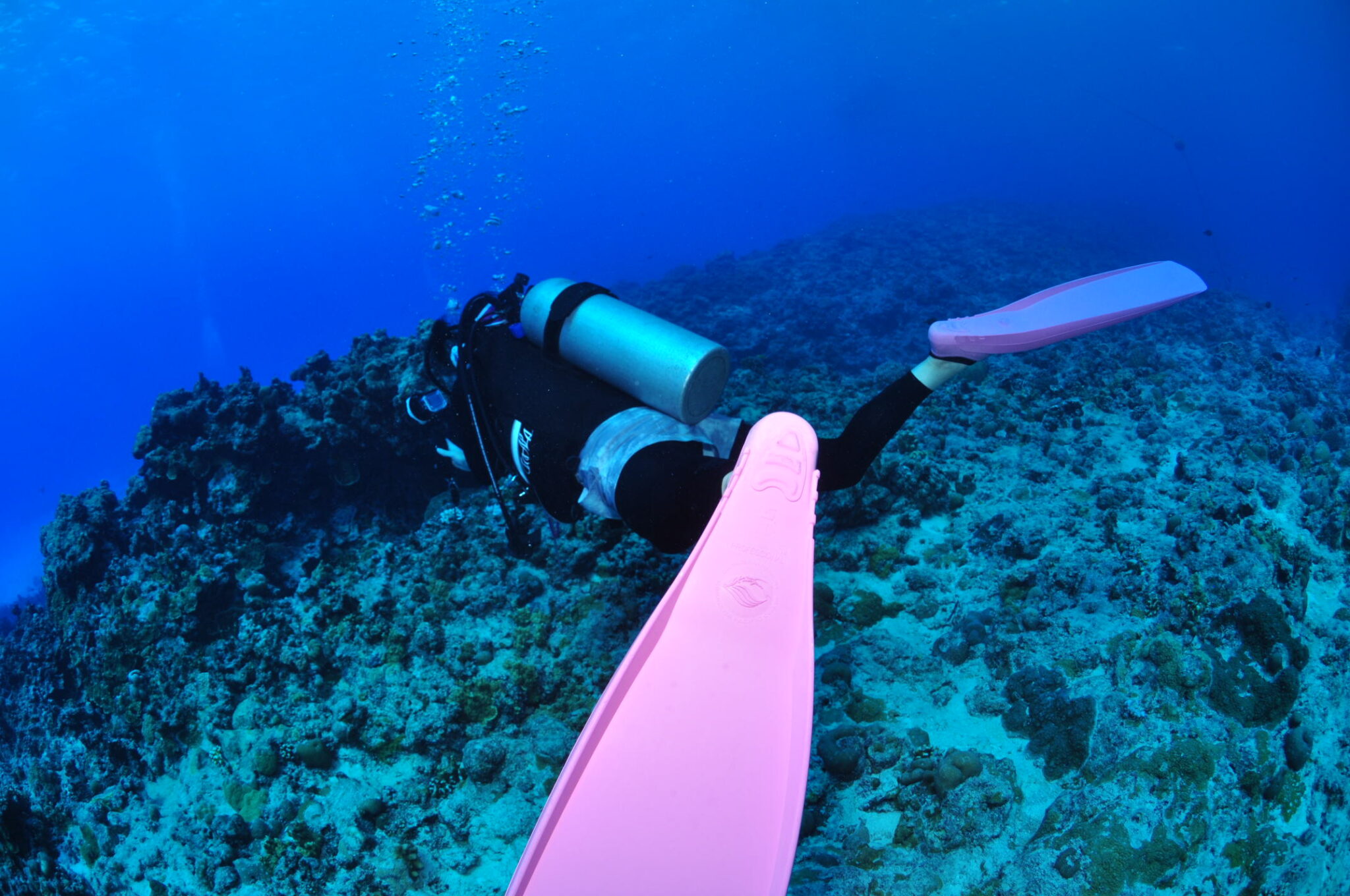 DSC_0675 | DIVING SHOP AQUA GATE SAIPAN