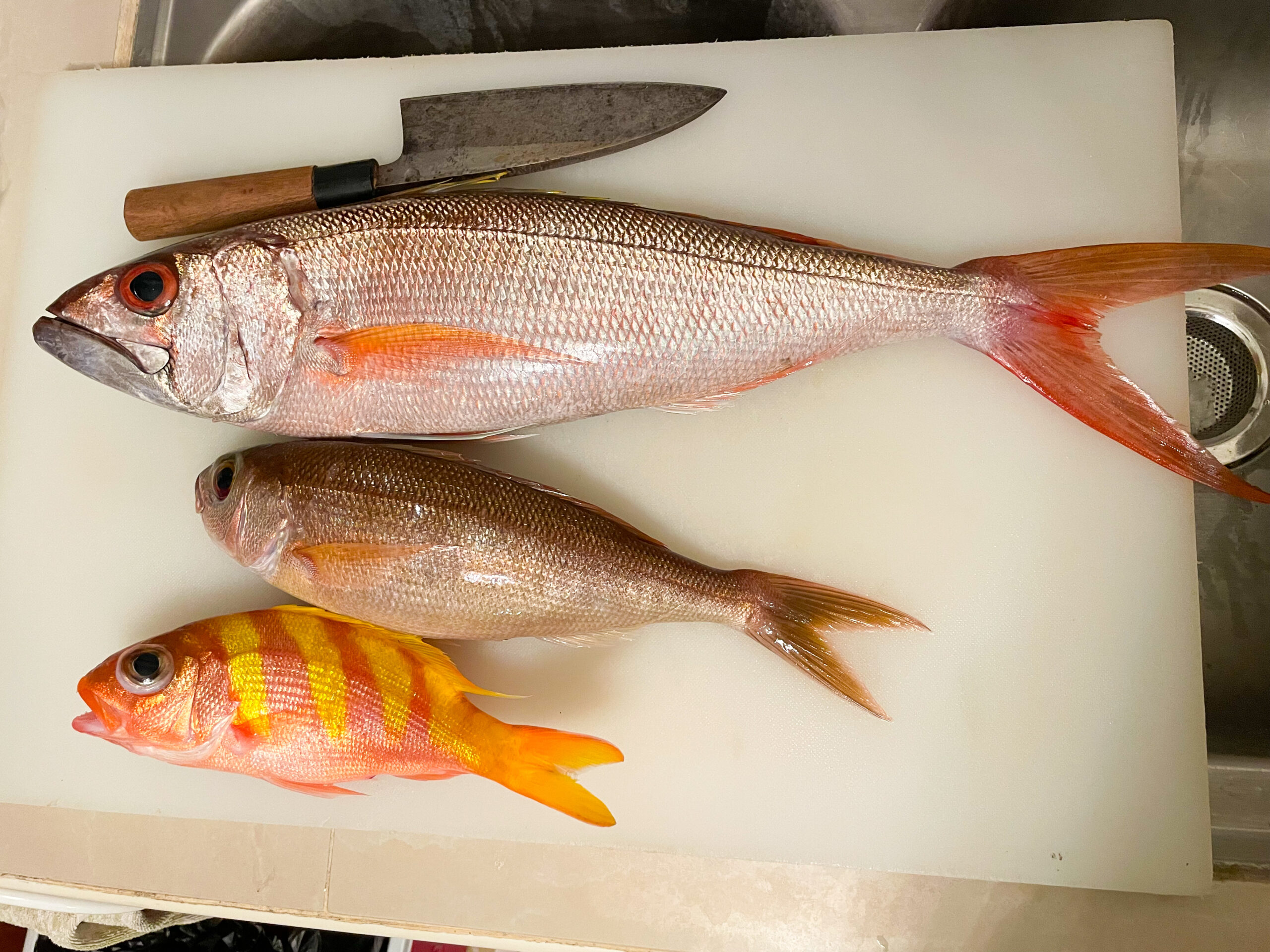 素敵なお裾分け頂きました！！ | DIVING SHOP AQUA GATE SAIPAN