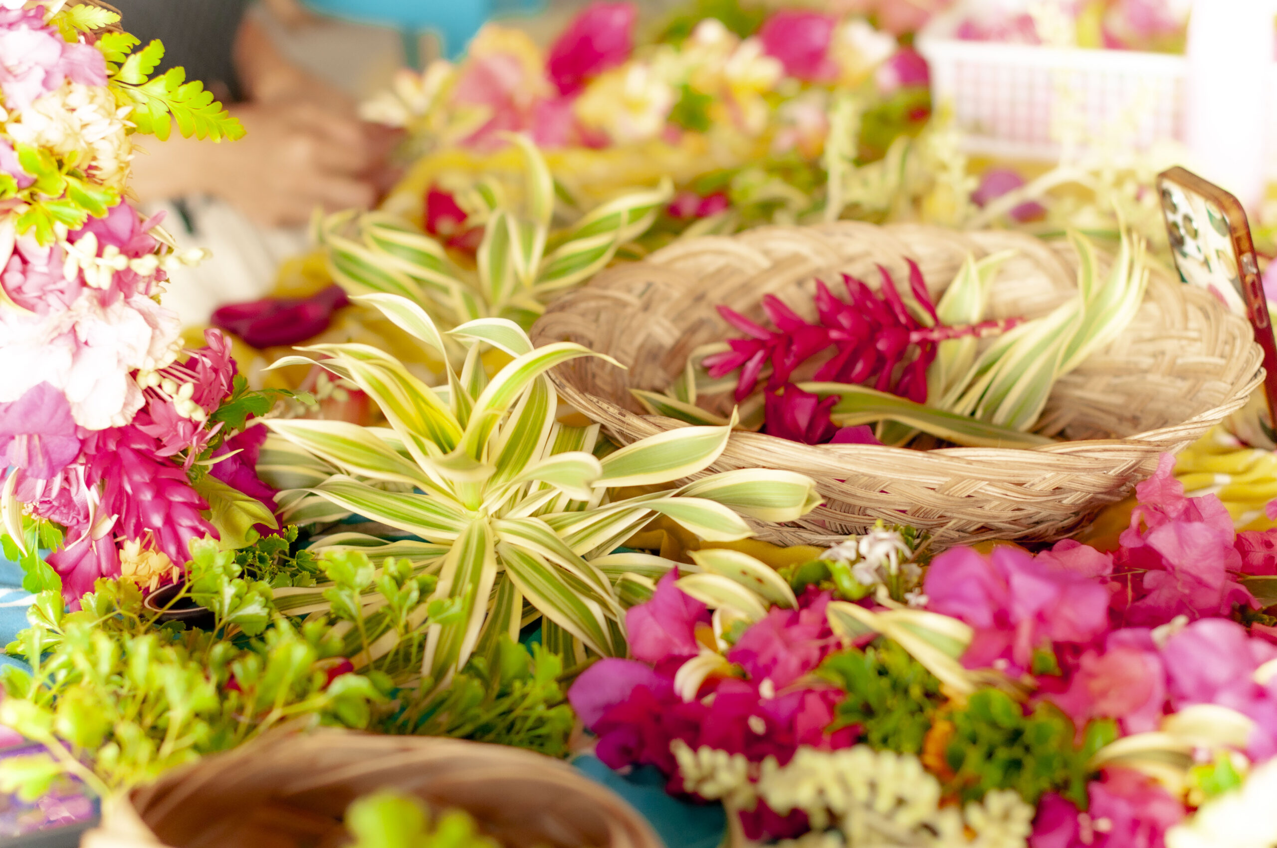 花 | DIVING SHOP AQUA GATE SAIPAN